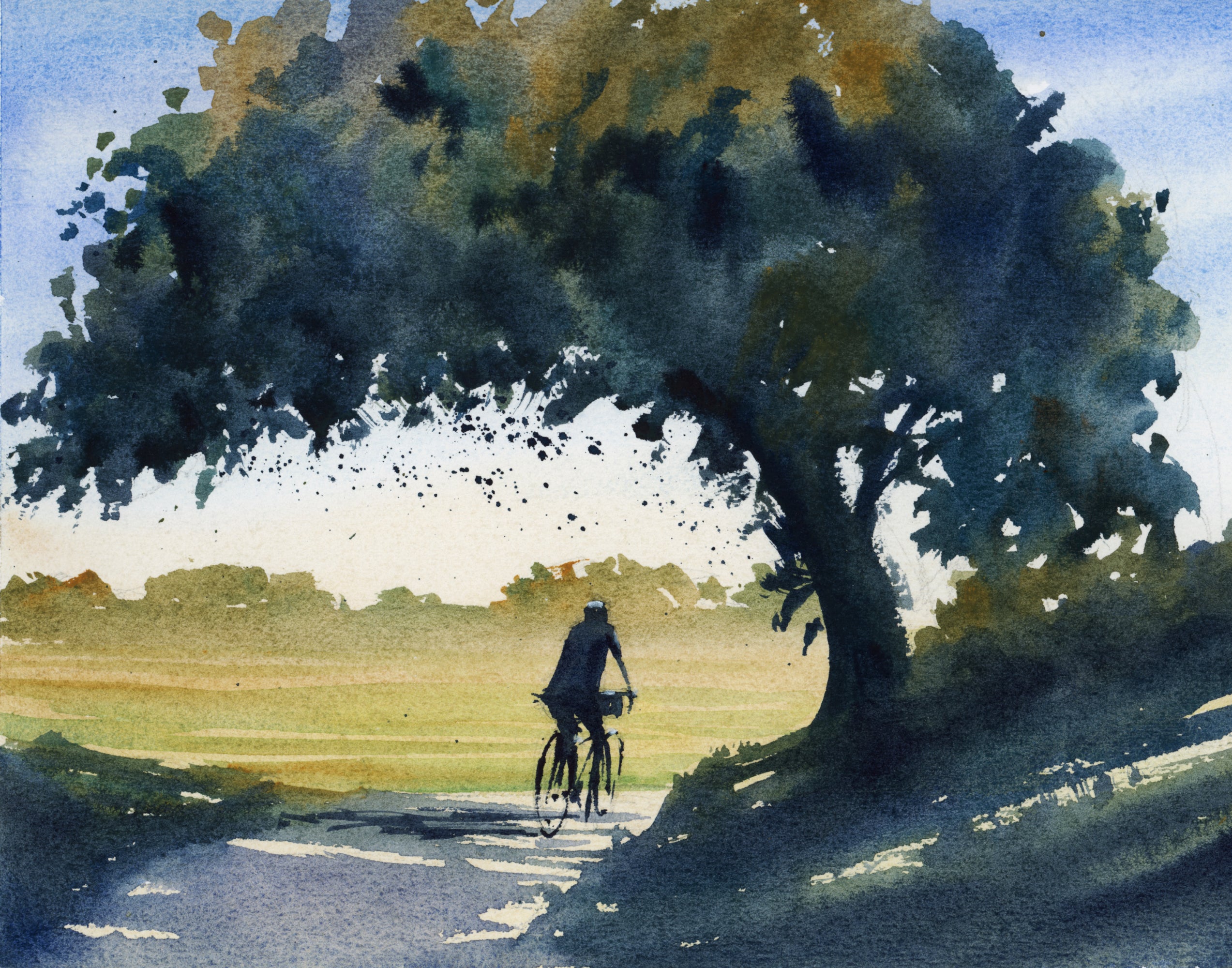 Spanish Oak (11x14 Giclee Print) – pathlesspedaled